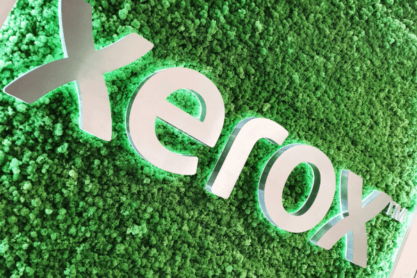 14 Examples of Intrapreneurship & Employee Driven Innovation in Action